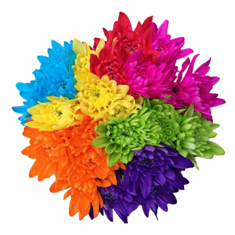 Tinted Archives - Uniflor