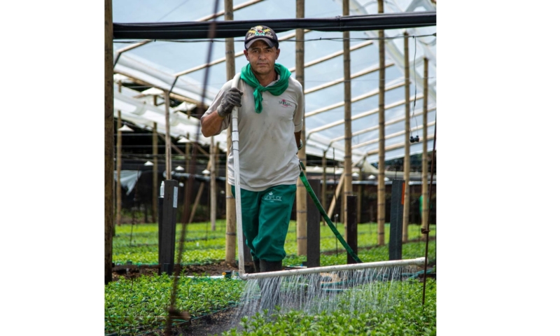 About Us – Uniflor