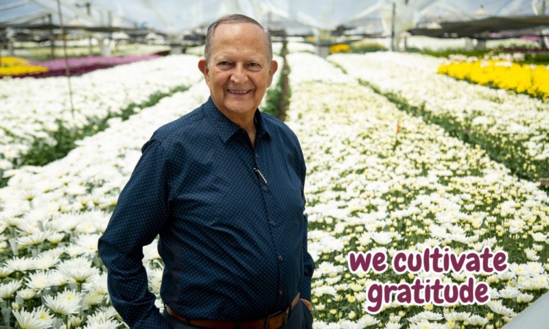 About Us – Uniflor