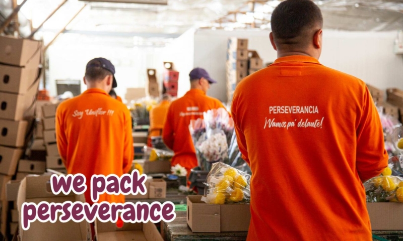 About Us – Uniflor