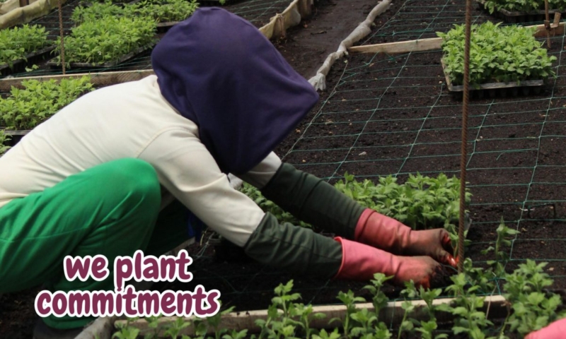 About Us – Uniflor